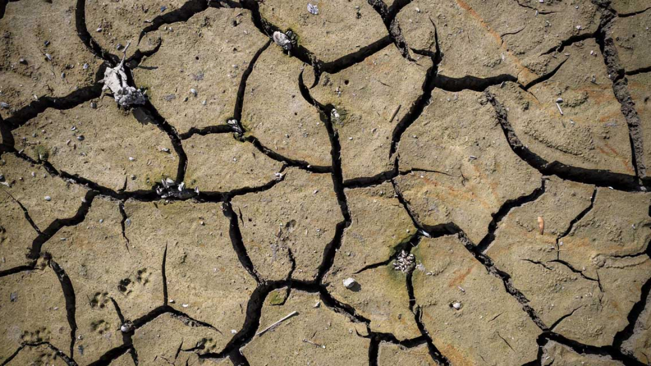 Sécheresse de 2023, six communes reconnues en état de catastrophe naturelle Sécheresse de 2023, six communes reconnues en état de catastrophe naturelle